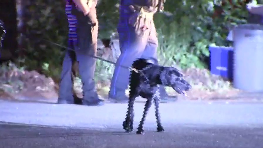 6-year-old found dead after going missing in Westford - Boston News ...