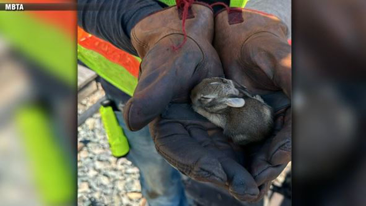 Metro Boston – Boston News, Weather, Sports | WHDH 7News