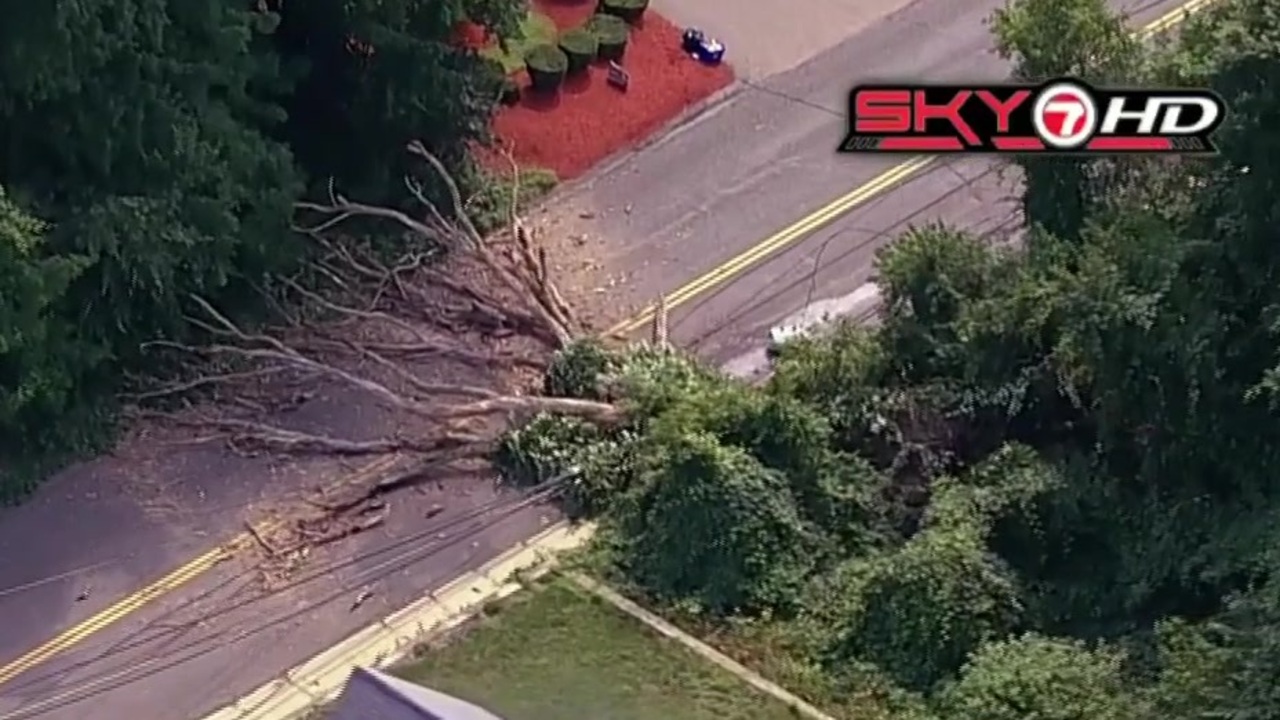 Tree falls into street, knocks down power lines in Milford - Boston ...