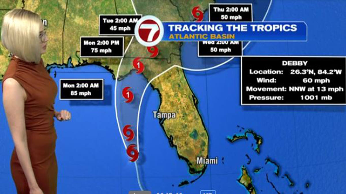 Tropical Storm Debby moving through Gulf toward Florida with hurricane ...