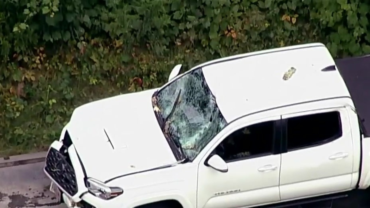 Tree falls on truck in Sutton, killing family dog - Boston News ...