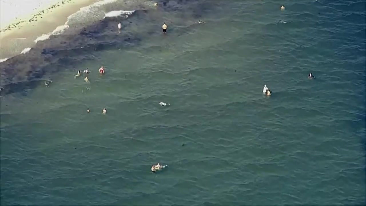 3 shark sightings reported off coast of Yarmouth - Boston News, Weather, Sports | WHDH 7News