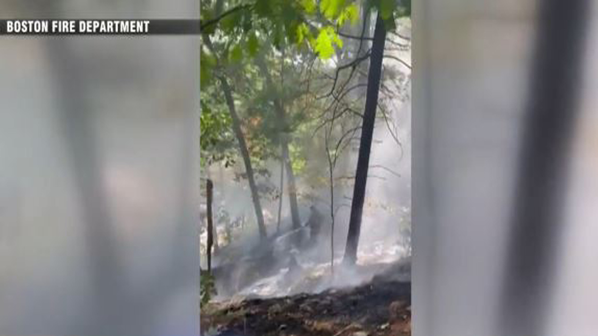 Fire crews battle large brush fire in Boston - Boston News, Weather ...
