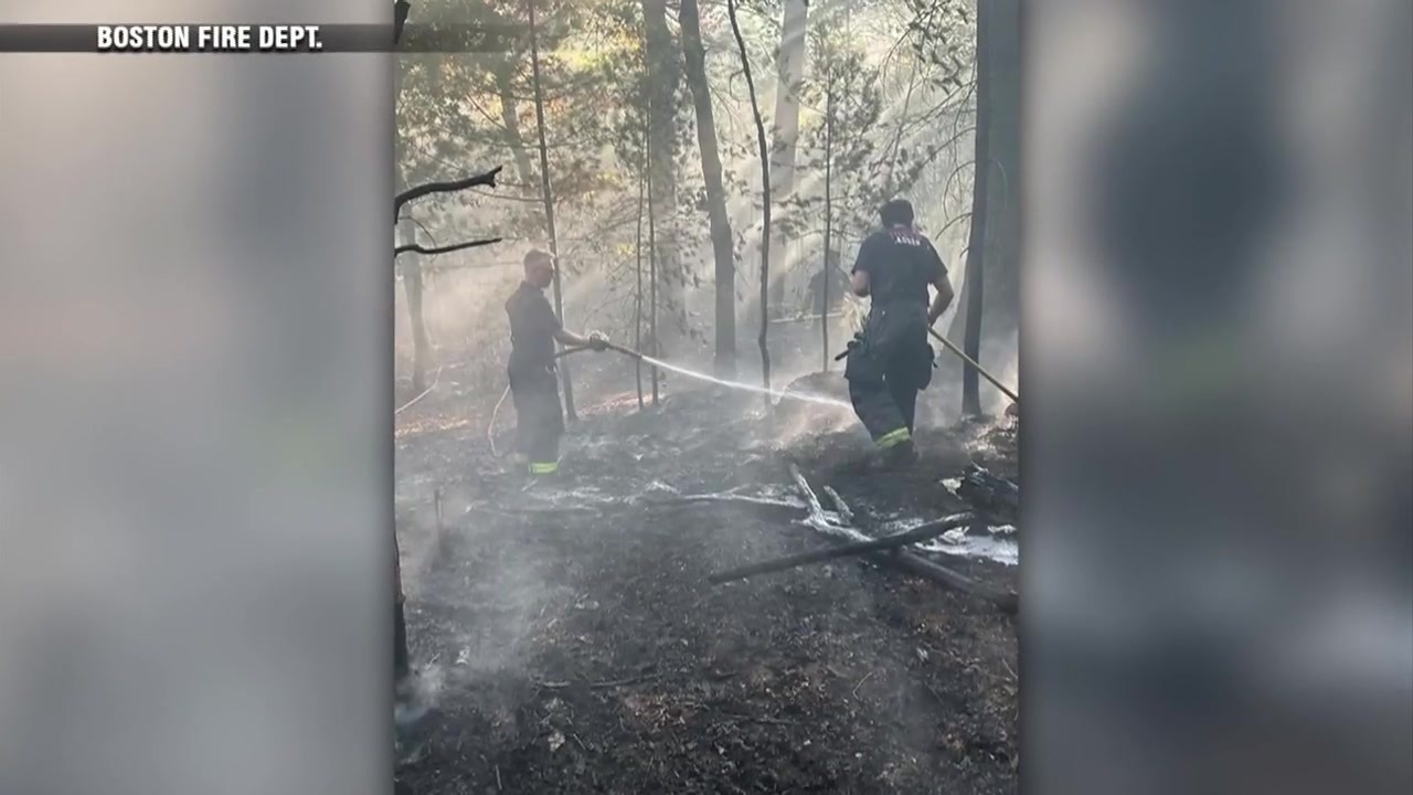 Crews battle second Boston brush fire in days - Boston News, Weather ...
