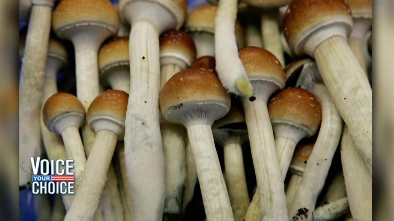 Ballot Question 4: Could certain psychedelic drugs become legal in ...