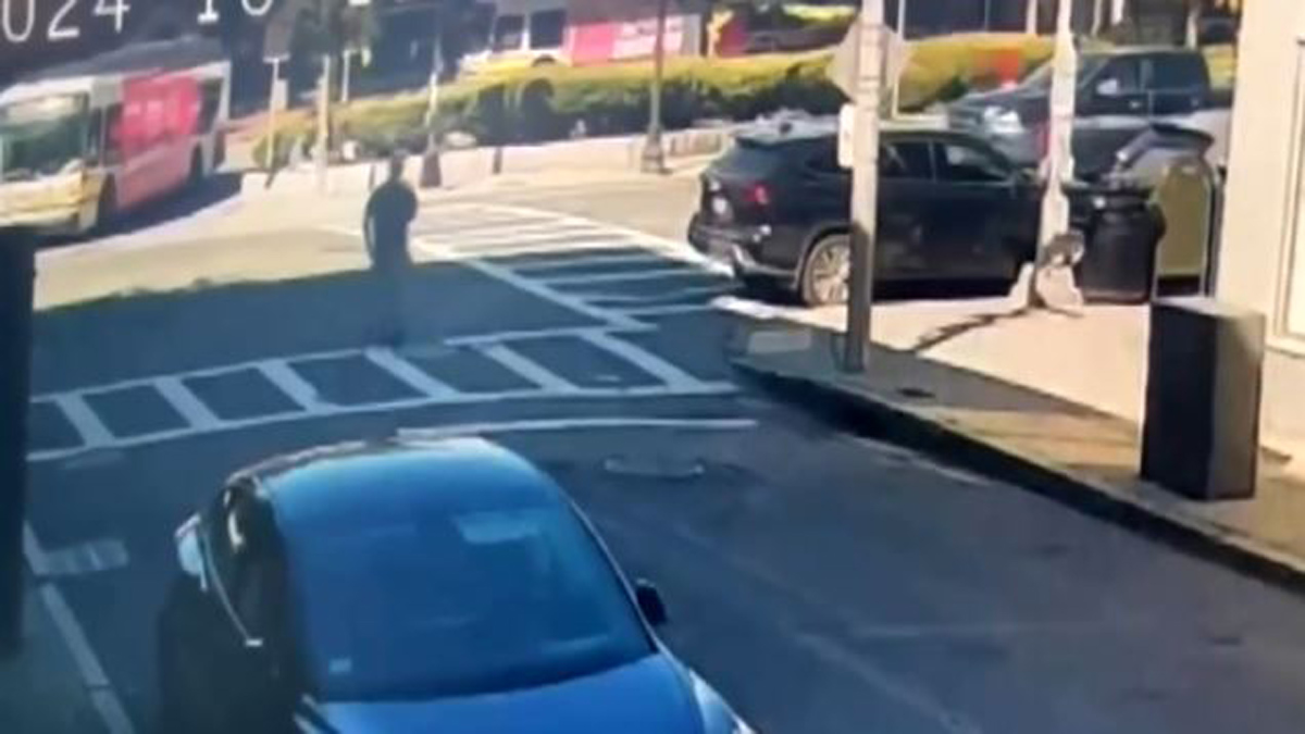 7 Investigates – Boston News, Weather, Sports | WHDH 7News