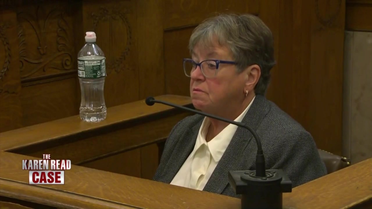 Defense dog bite expert takes the stand at hearing in Karen Read case ...
