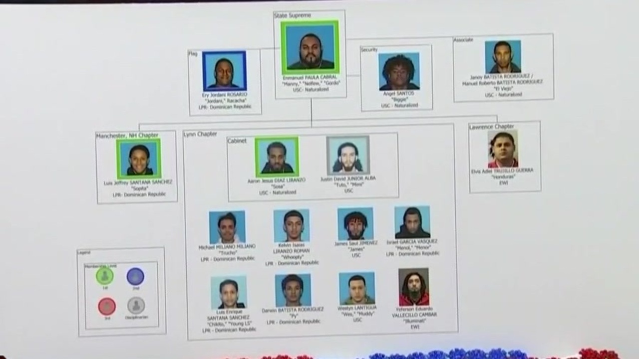 Over 20 suspected gang members arrested in connection with multiple ...