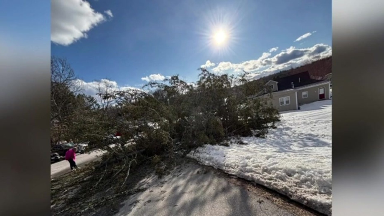 12-year-old from NH recovering at Boston Children’s Hospital after ...