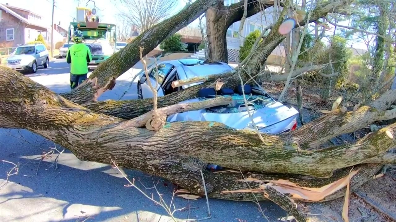 BILLERICA, Mass. (WHDH) – Boston News, Weather, Sports | WHDH 7News