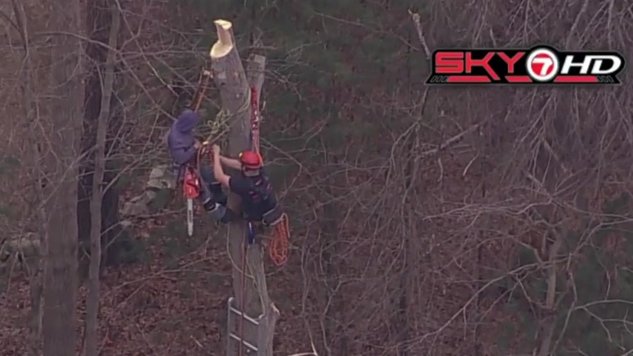 Crews rescue injured worker from pine tree in East Bridgewater - Boston ...