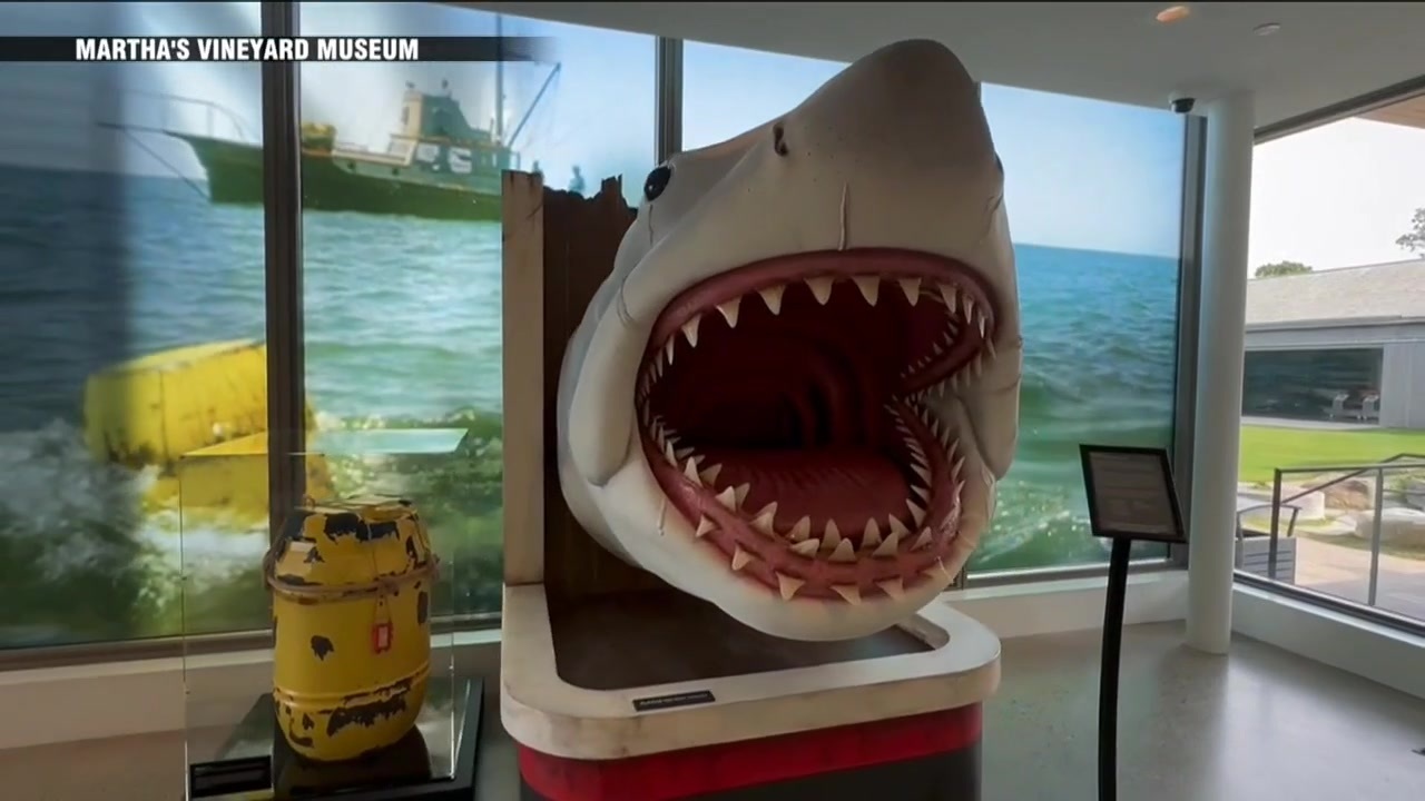 Steven Spielberg celebrates ‘awesome’ 50th anniversary ‘Jaws ...