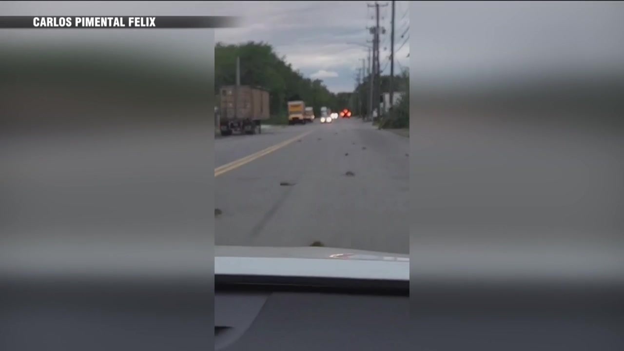 ‘Oh rats’: Fire at New Bedford recycling plant prompts city leaders to ...