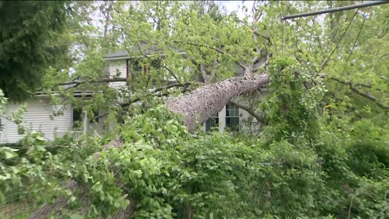 Massive tree crashes onto Billerica home - Boston News, Weather, Sports ...