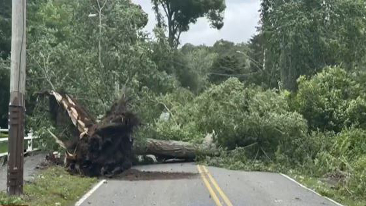 Strong winds down trees, knock out power across Cape Cod - Boston News ...