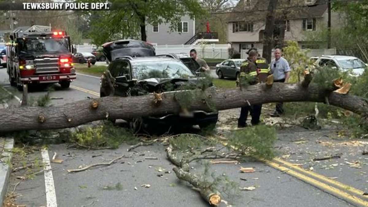 Wild winds topple branch onto car as storm blows through Tewksbury ...