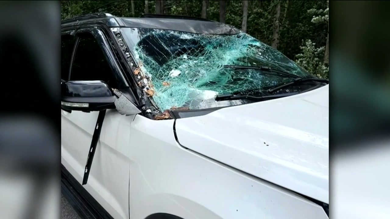 12-year-old trapped in car after winds topple tree onto SUV in NH ...