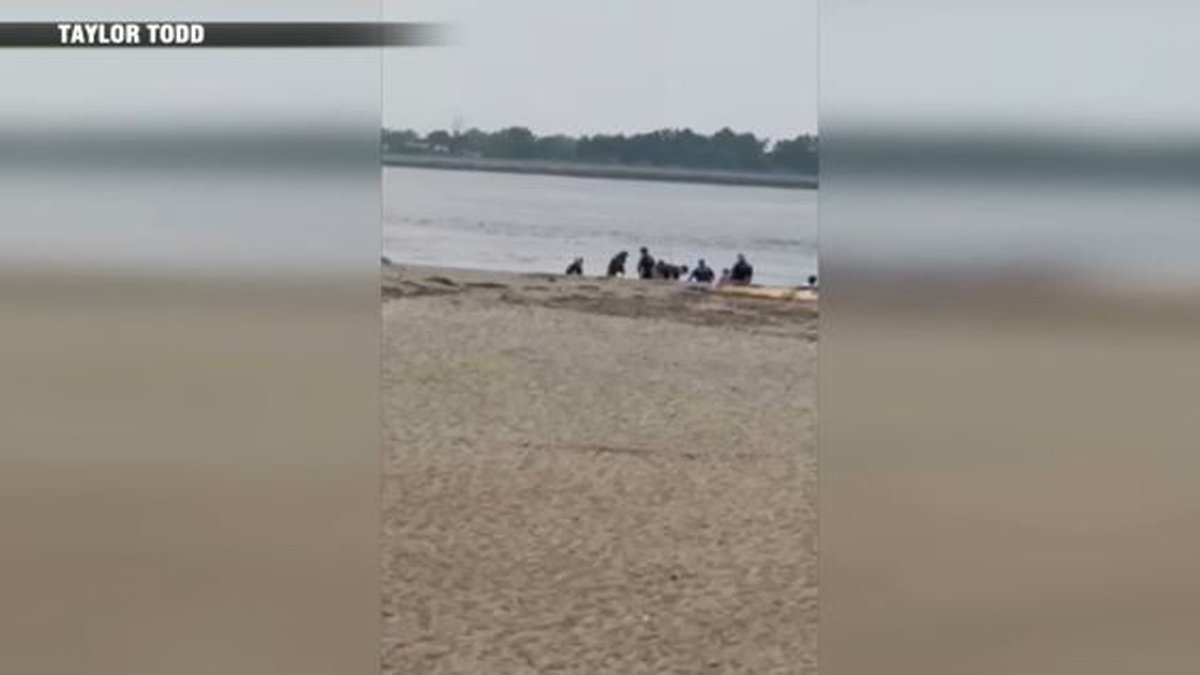 2 swimmers hospitalized in critical condition after being pulled from ...