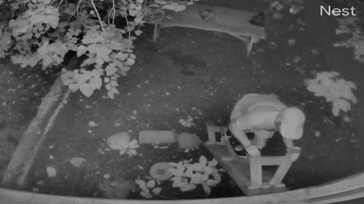 Police looking to ID suspects in recent prowler incidents in Brighton ...