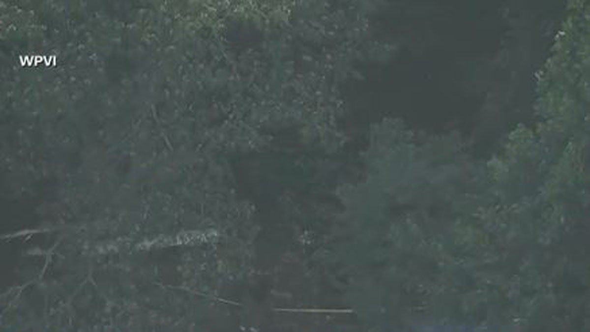 Skydiving plane goes off New Jersey runway and crashes into woods ...