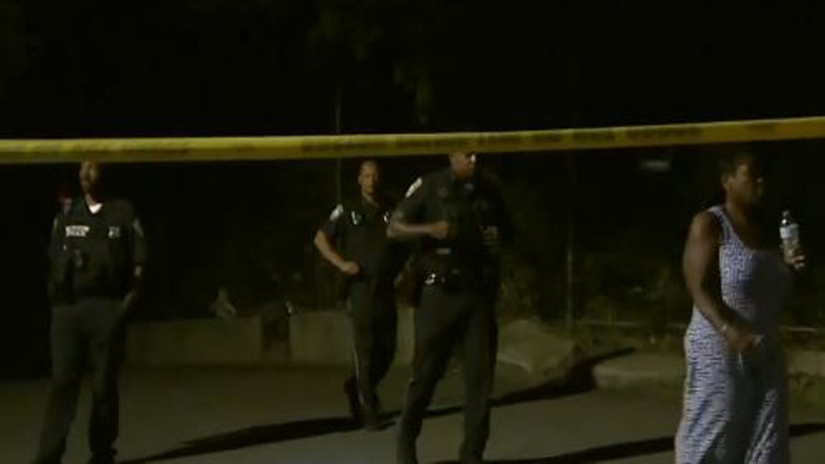 Police fatally shoot dog that mauled woman in Dorchester - Boston News ...