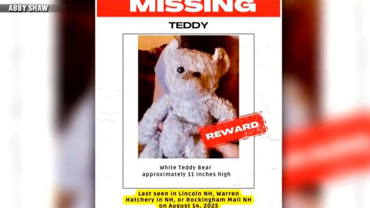 Woman asking for help in search for missing teddy bear - Boston News, Weather, Sports | WHDH 7News