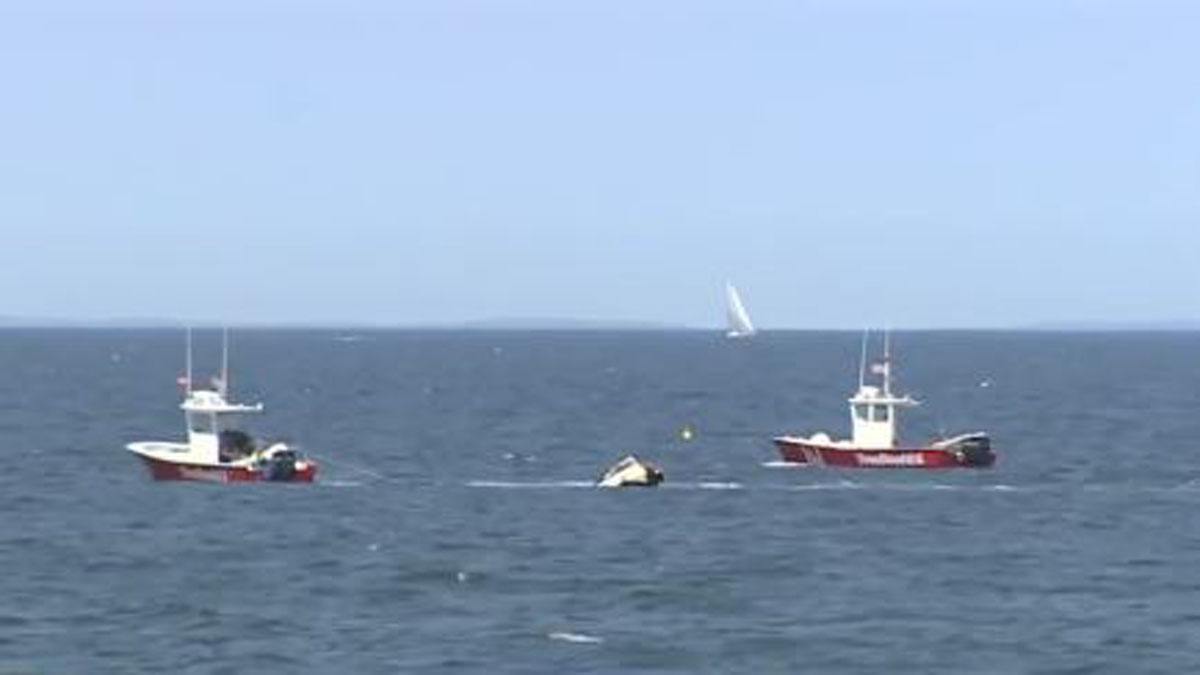 Victim IDed in Hull boat crash, capsizing - Boston News, Weather ...