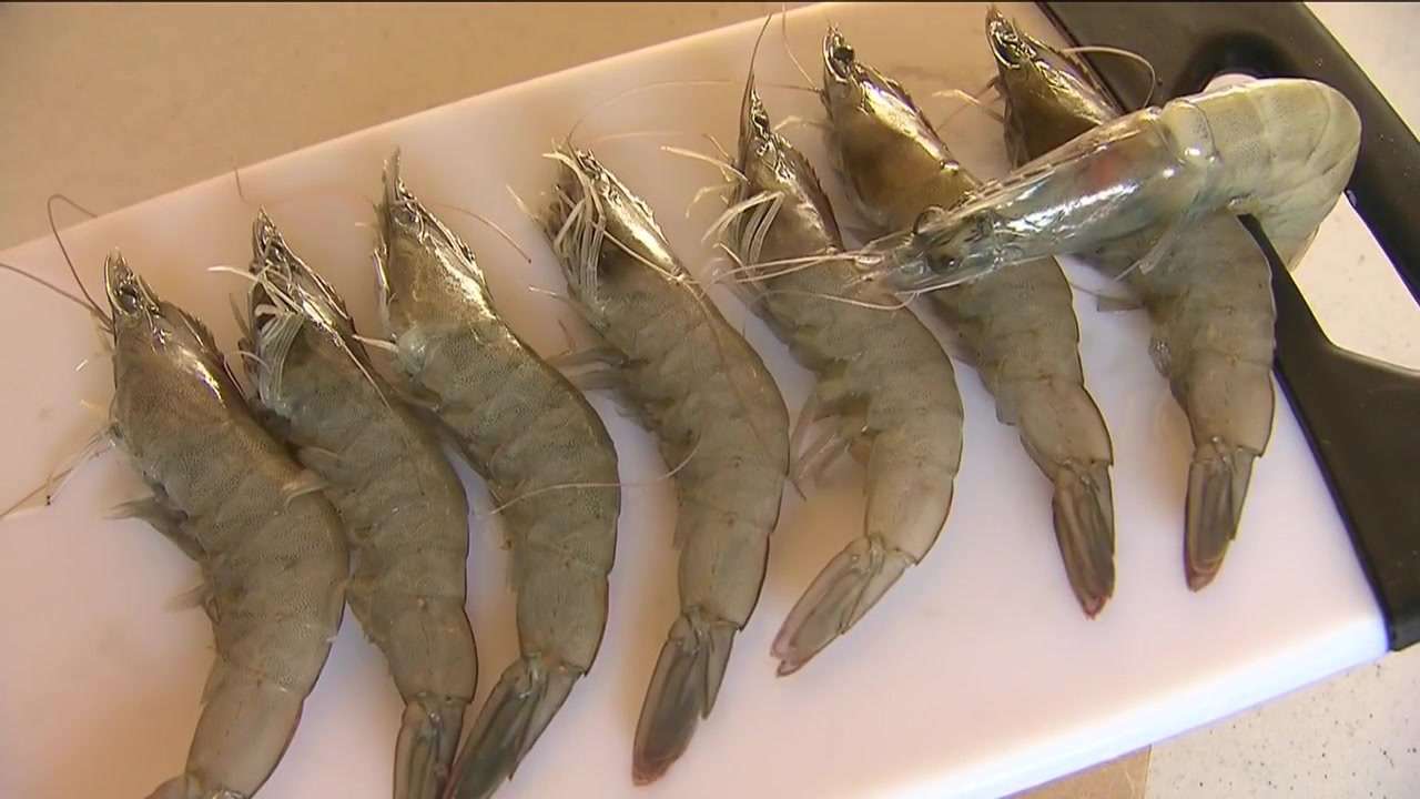 FDA warns against eating certain shrimp sold at Walmart amid ...
