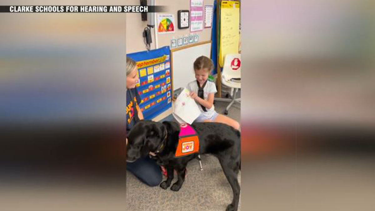 Canton school earning praise for helping kids living with speech ...