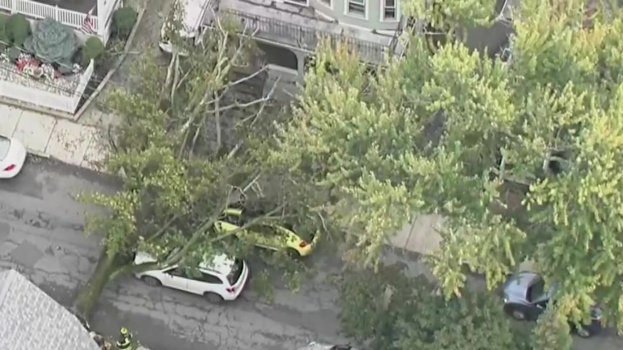 Massive tree crashes onto two cars in Somerville - Boston News, Weather ...