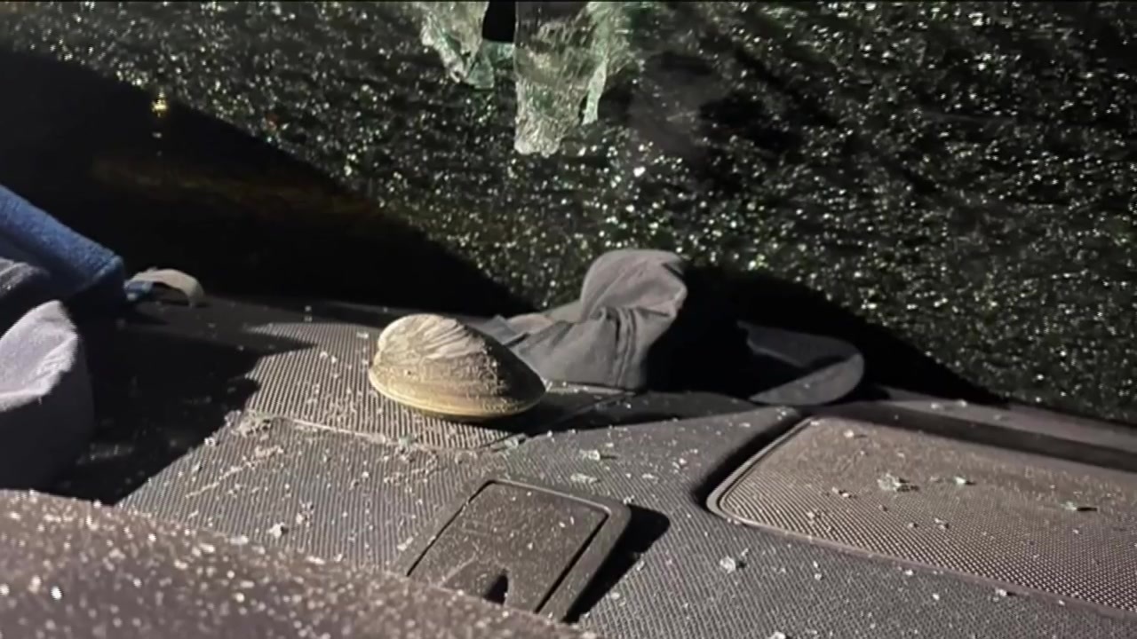 Cloudy with a chance of… quahogs? Wareham officer’s windshield smashed ...