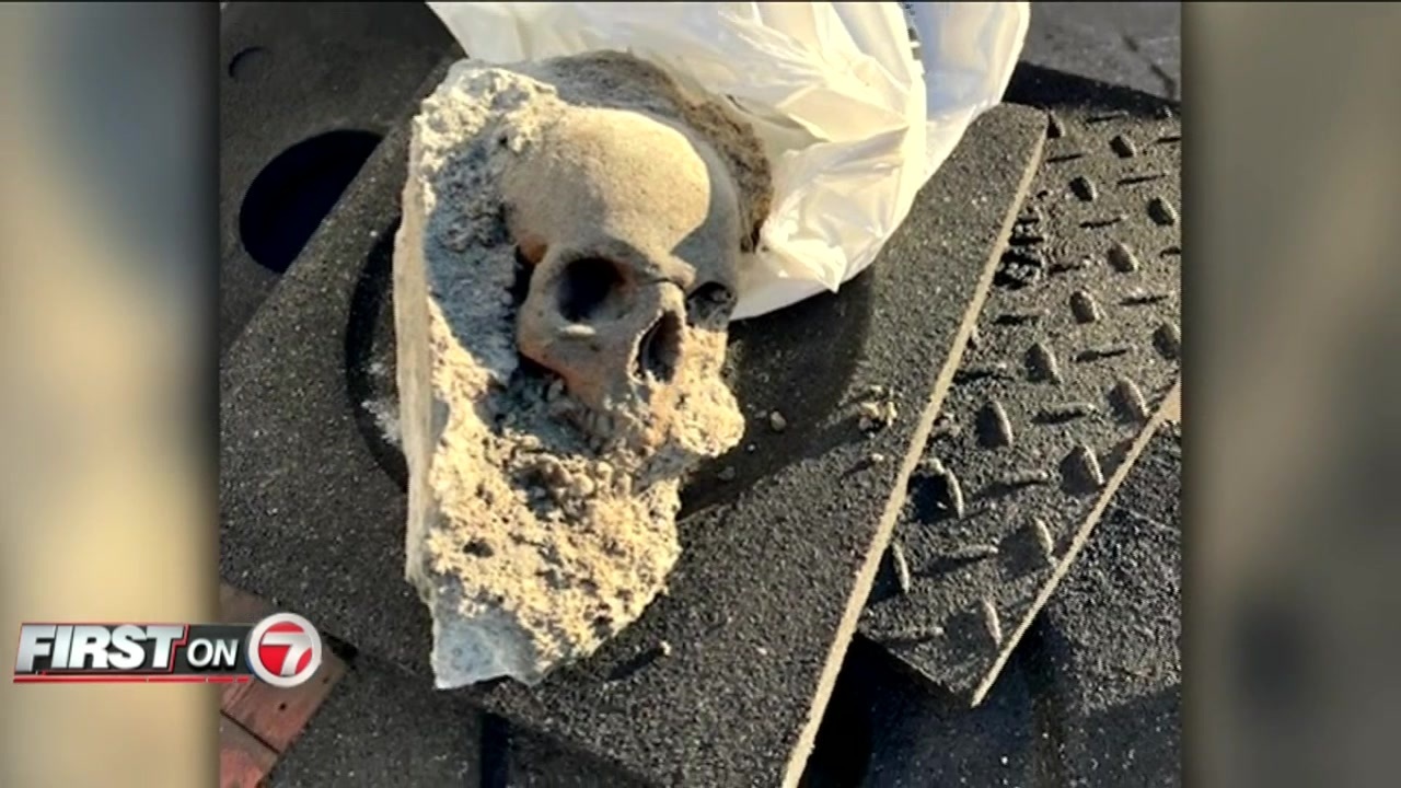 Skull found in Boston’s Seaport not human - Boston News, Weather ...