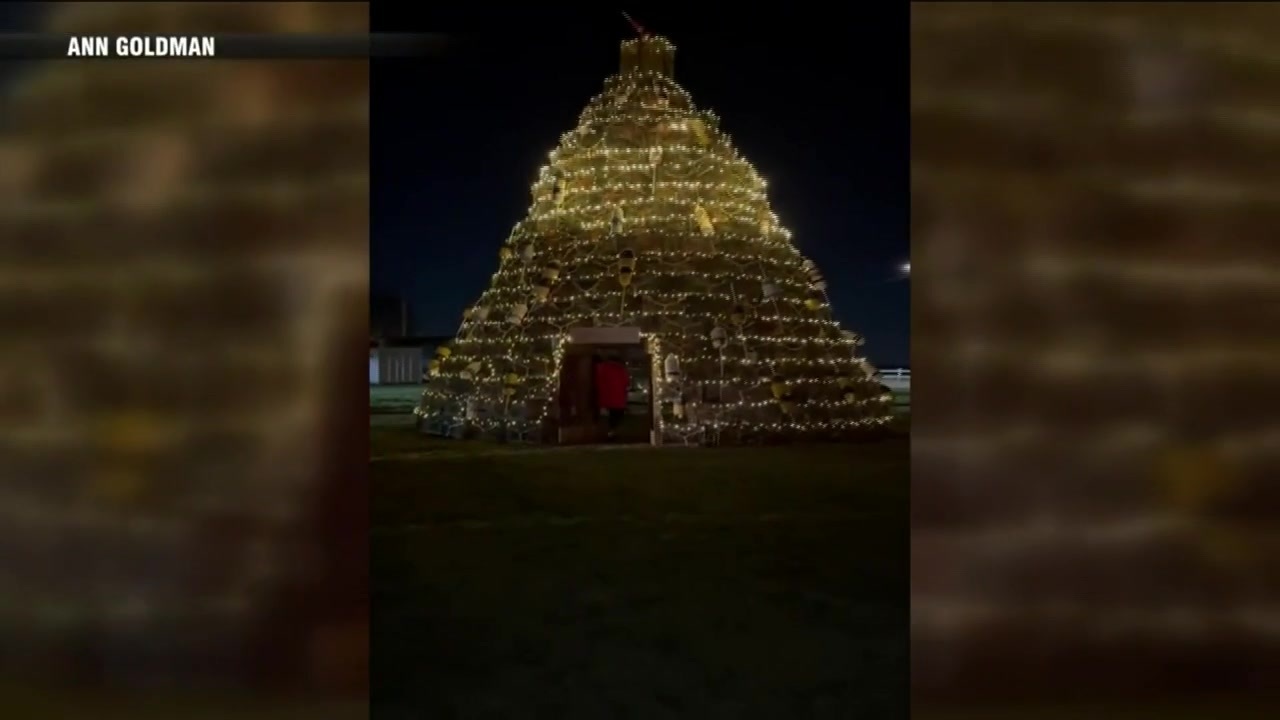 ‘Claws for concern’: Hull residents denied going inside holiday tree made of lobster traps ...