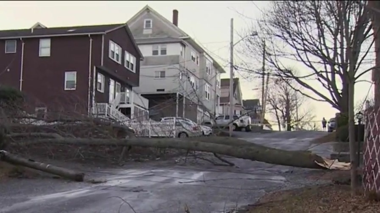 Fallen trees take down power lines in Revere, Chelmsford - Boston News ...