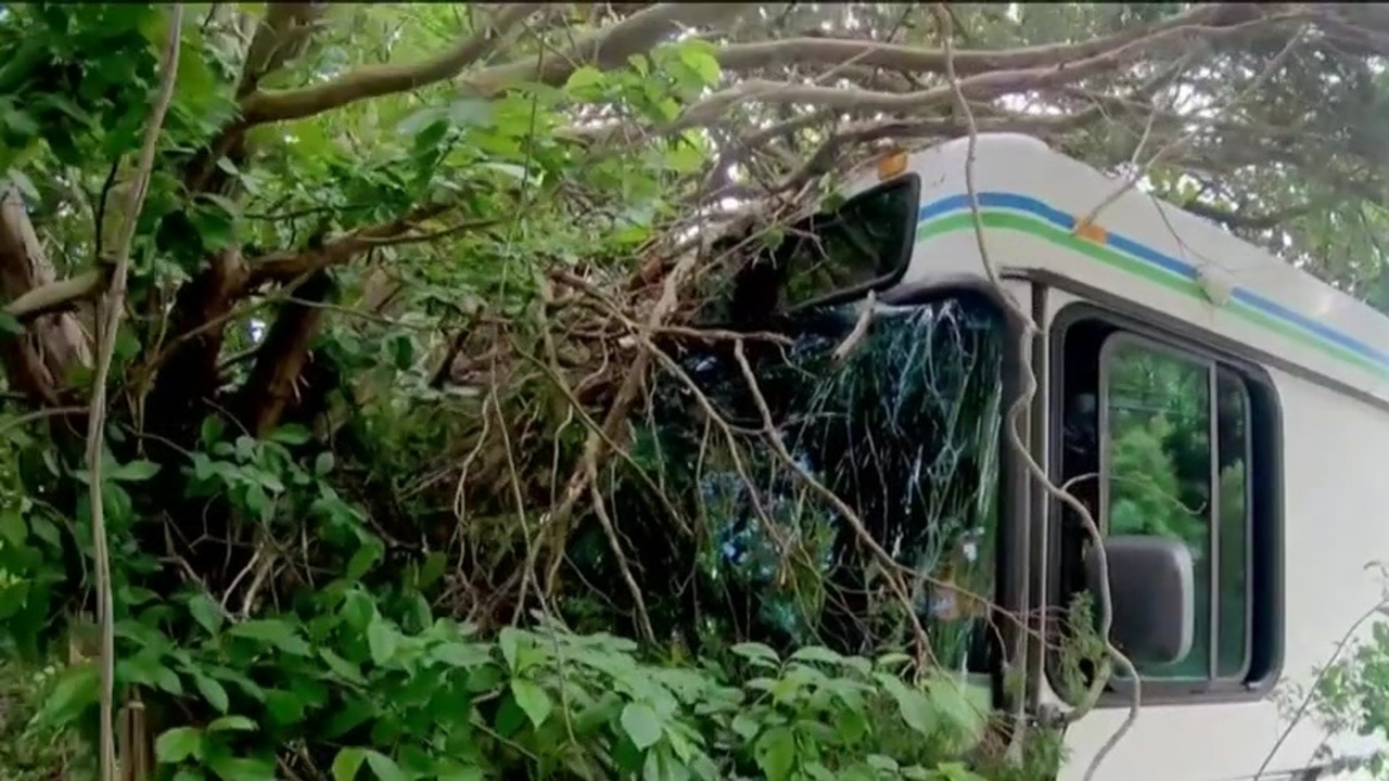 6 people taken to hospital after bus crashes into tree in Barnstable ...