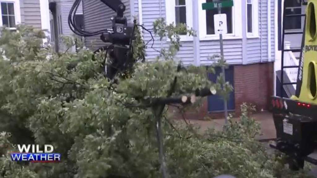 Metro Boston – Boston News, Weather, Sports | WHDH 7News
