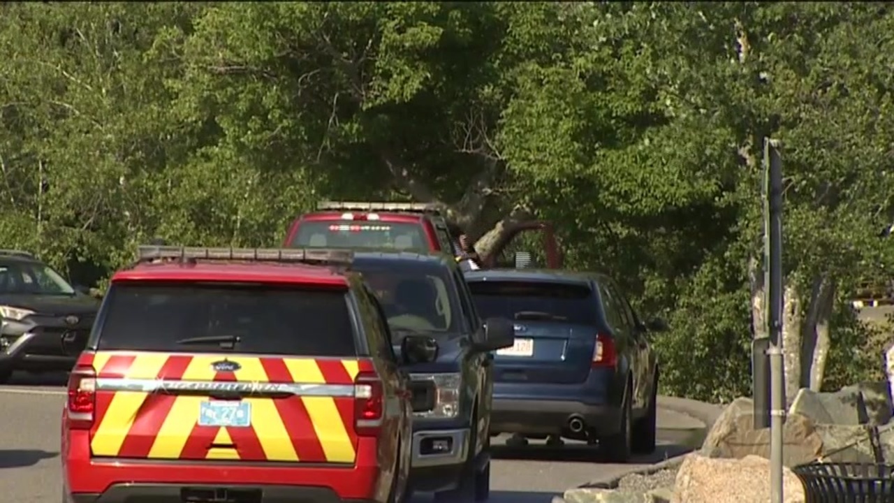 20-year-old man pulled from Stoughton pond dies - Boston News, Weather ...